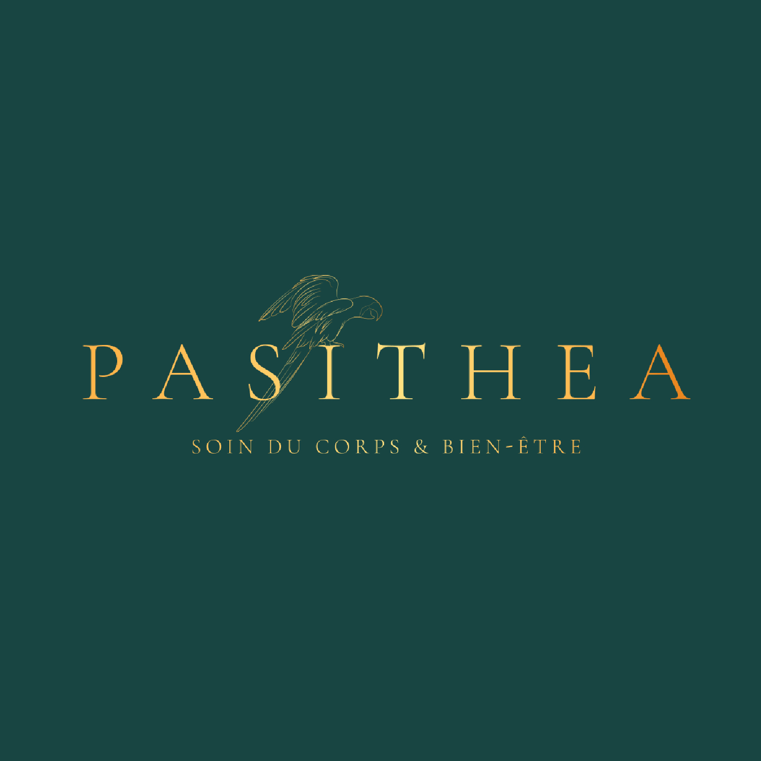Pasithea | 🖖 Pauline Imperato | Graphiste freelance et photographe à ...